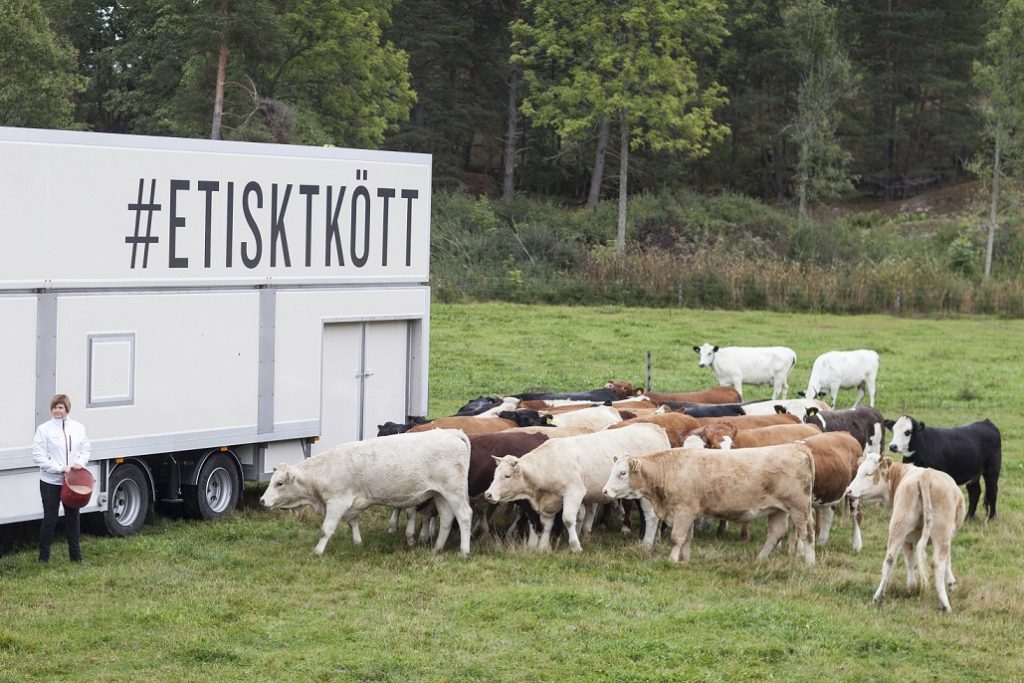 Vers la création d'abattoirs mobiles? - Natura Sciences