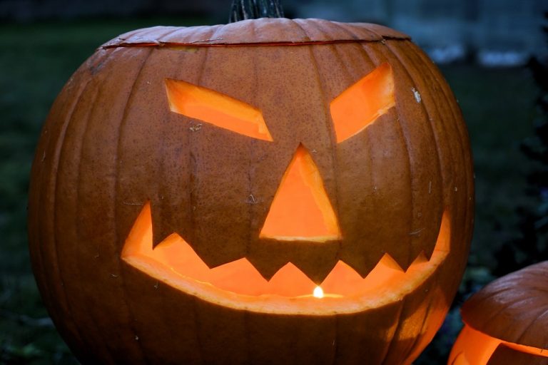 Halloween : Alerte à la courge toxique! - Natura Sciences