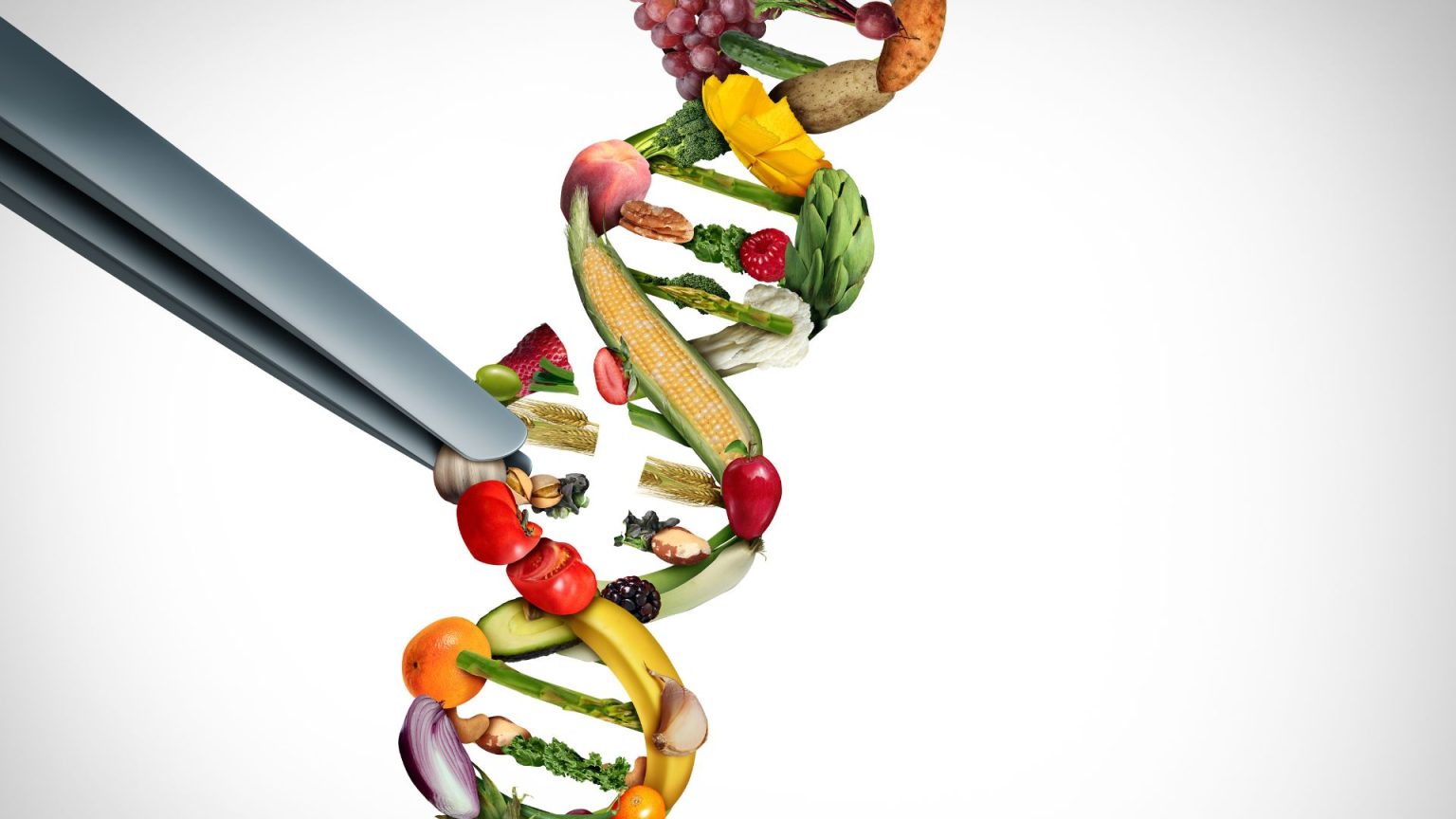 NTG : que sont ces techniques qualifiées de "nouveaux OGM"