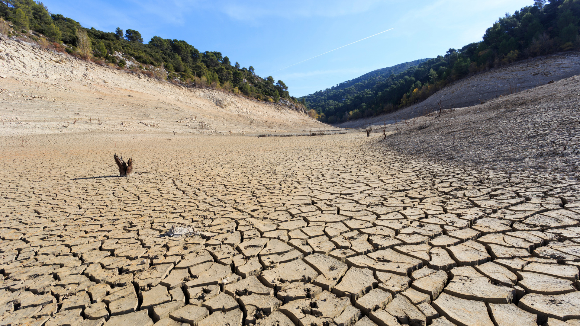 La désertification, le nouveau risque environnemental qui frappe la France